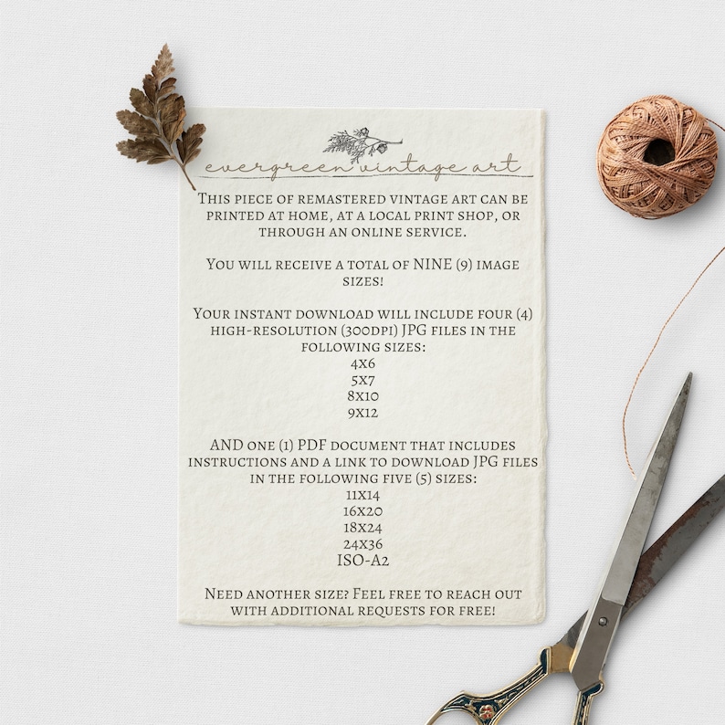 Waterfall Print Vintage Moody Cottagecore Woodland Nature - Etsy