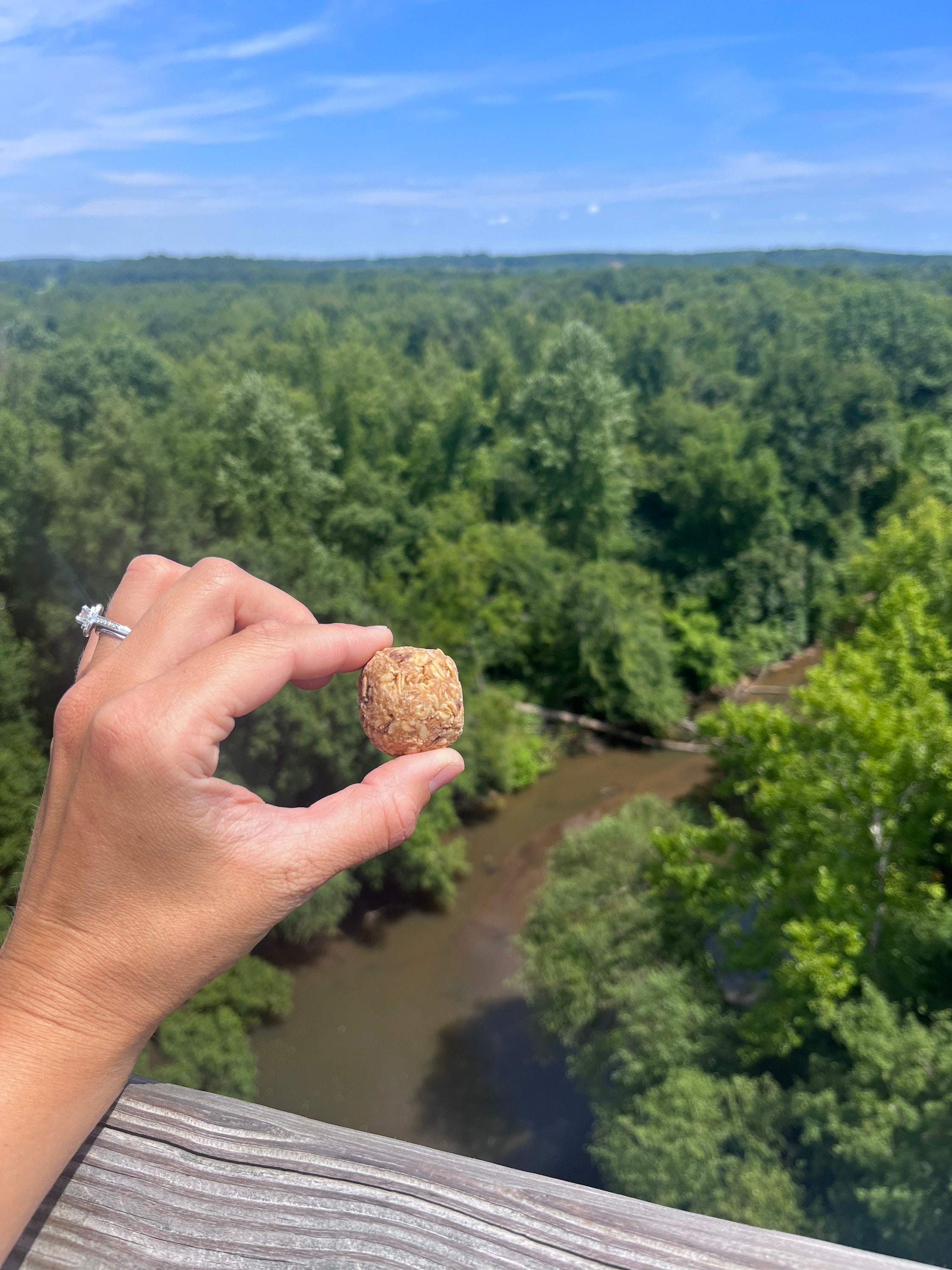 Dark Chocolate Peanut Butter Protein Balls Individually Bagged (24 ...