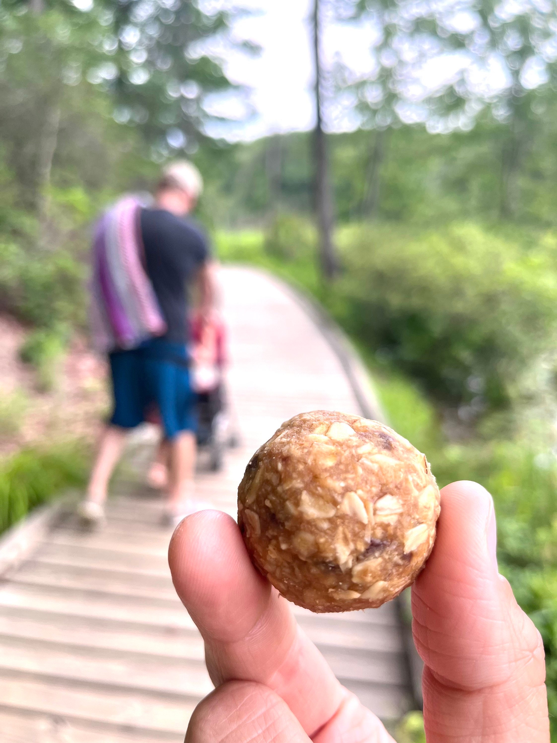 Dark Chocolate Peanut Butter Protein Balls (24 Count/bagged Not Boxed ...