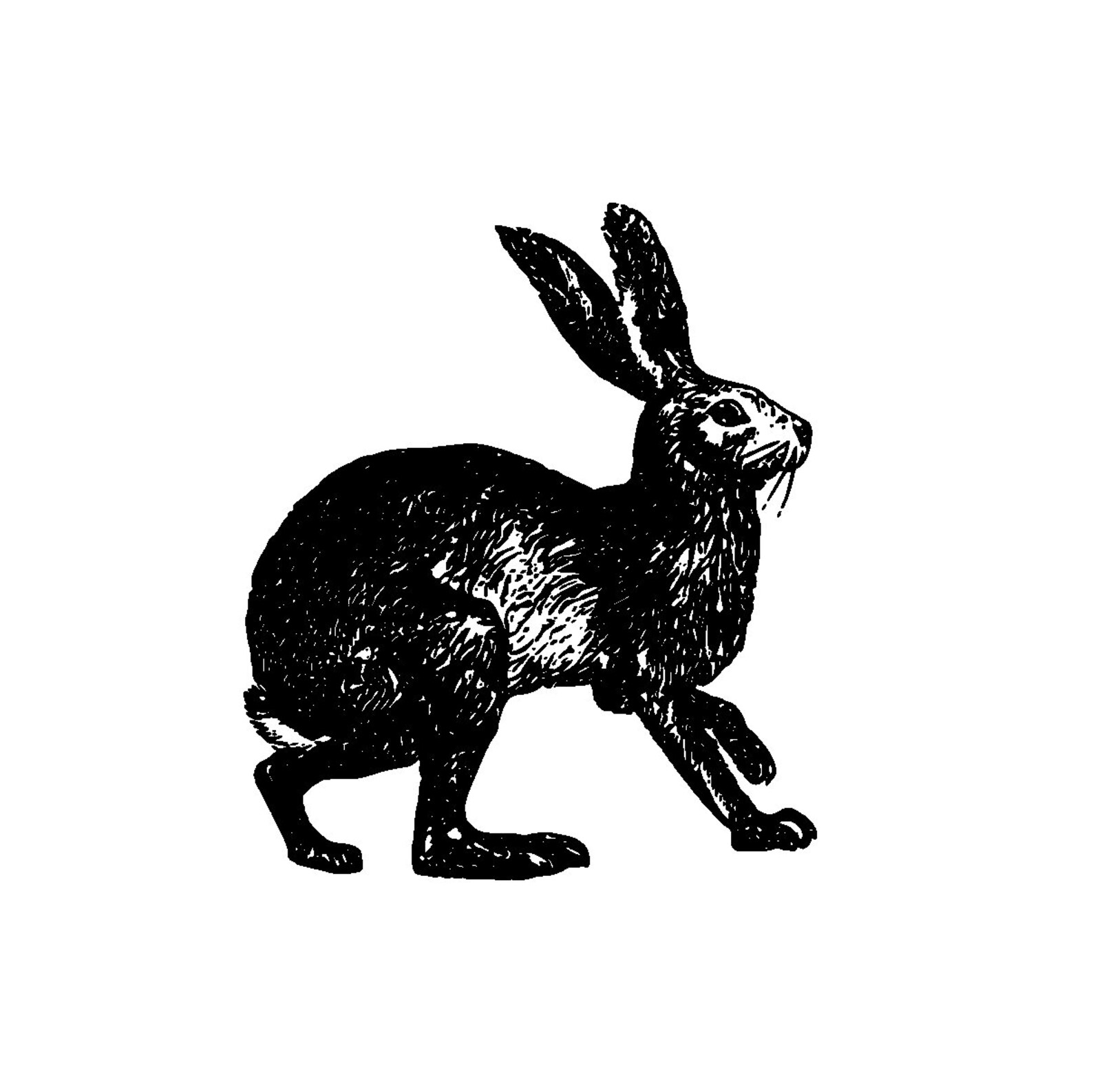 Vintage Rabbit Clipart SVG EPS and PNG Files Rabbit Instant Download ...