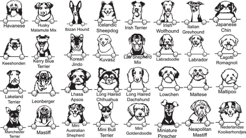 Customizable Dog Vinyl Decal – Over 200 Breeds Available! - Etsy