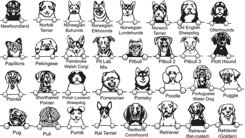 Customizable Dog Vinyl Decal – Over 200 Breeds Available! - Etsy