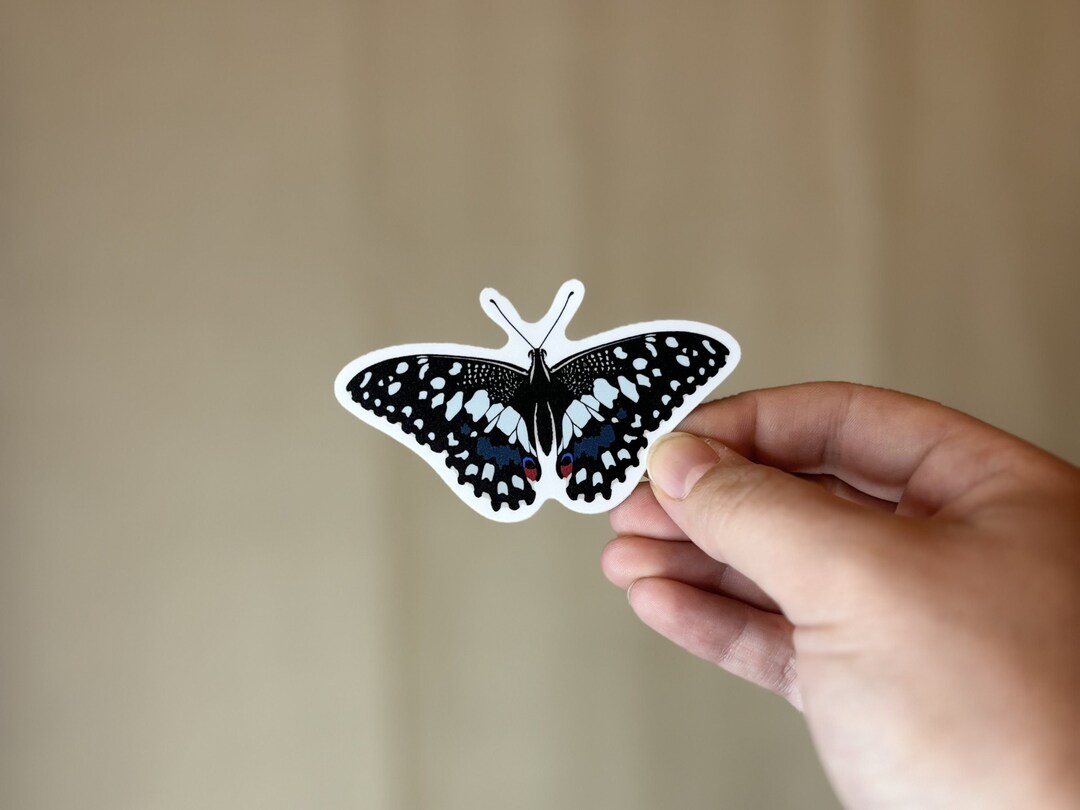 Butterfly | Waterproof Sticker for Water Bottle Sticker Laptop Sticker ...