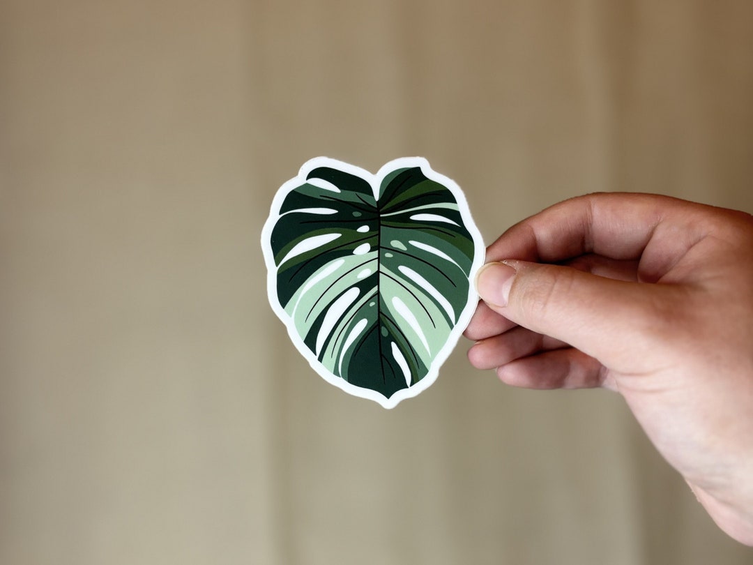 Monstera Leaf | Waterproof Sticker for Water Bottle Sticker Laptop ...