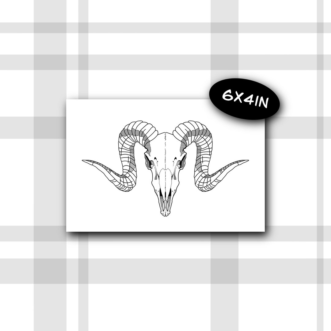 Ram Skull Art Print 4x6 Print, Mini Art Print, Postcard Print - Etsy