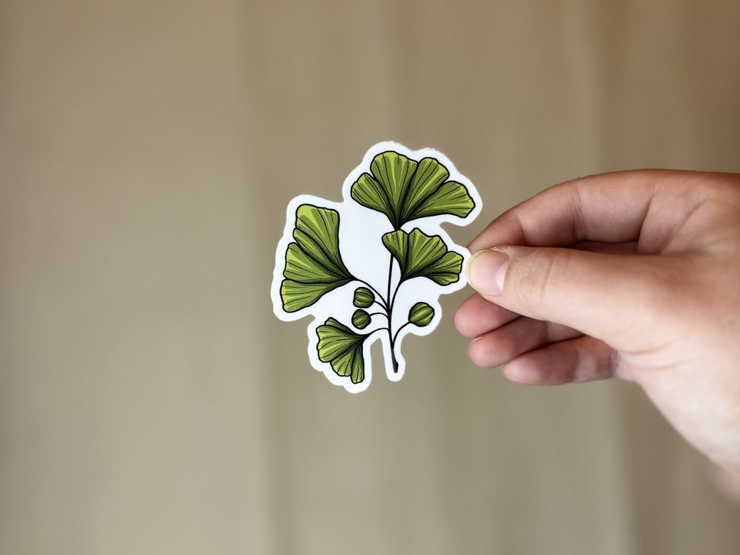 Ginkgo Leaves | Waterproof Sticker for Water Bottle Sticker Laptop ...