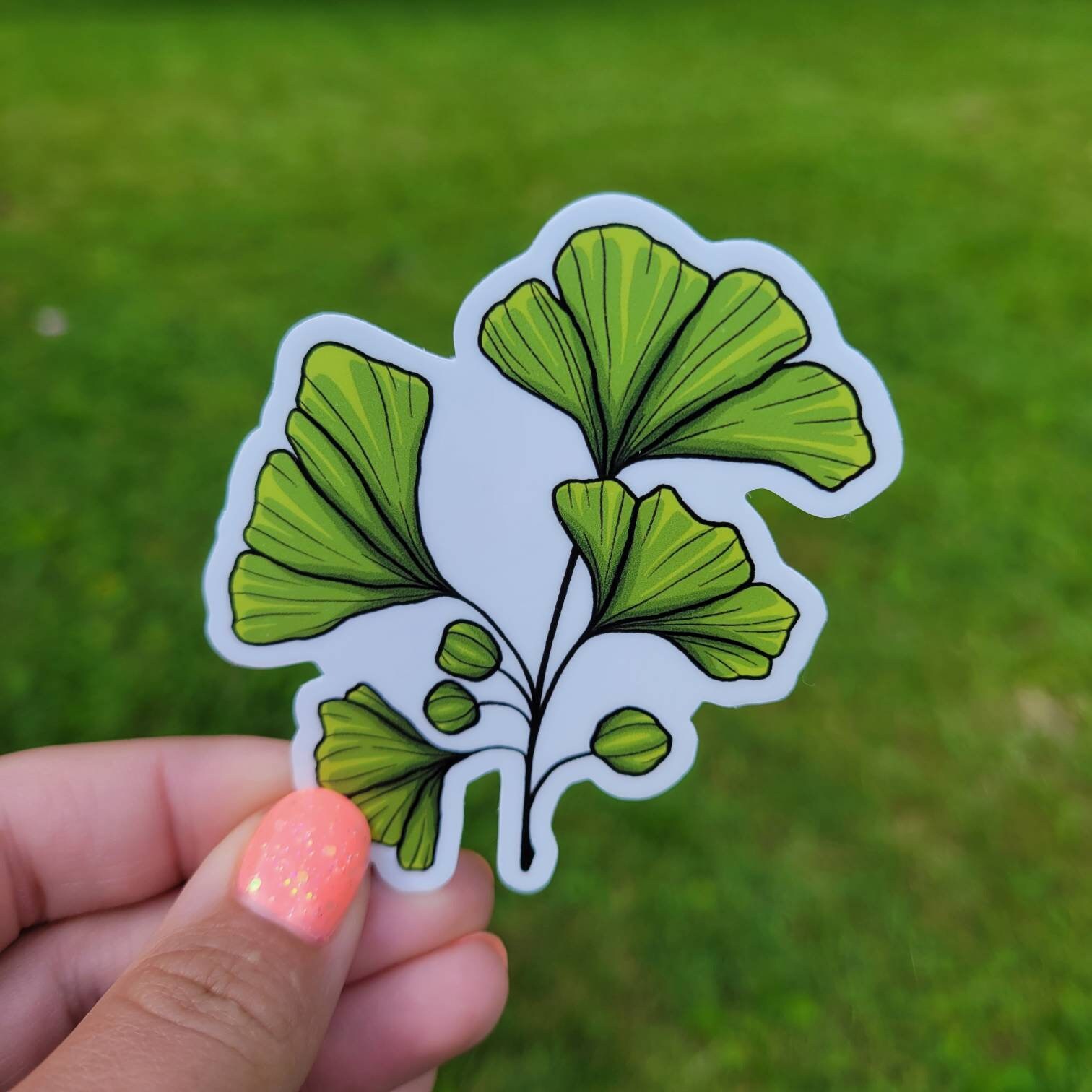 Ginkgo Leaves | Waterproof Sticker for Water Bottle Sticker Laptop ...