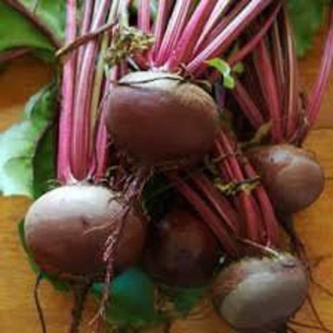 Detroit Dark Red Beet Seeds, Organic Seeds, Vegetable, Beet Seeds ...