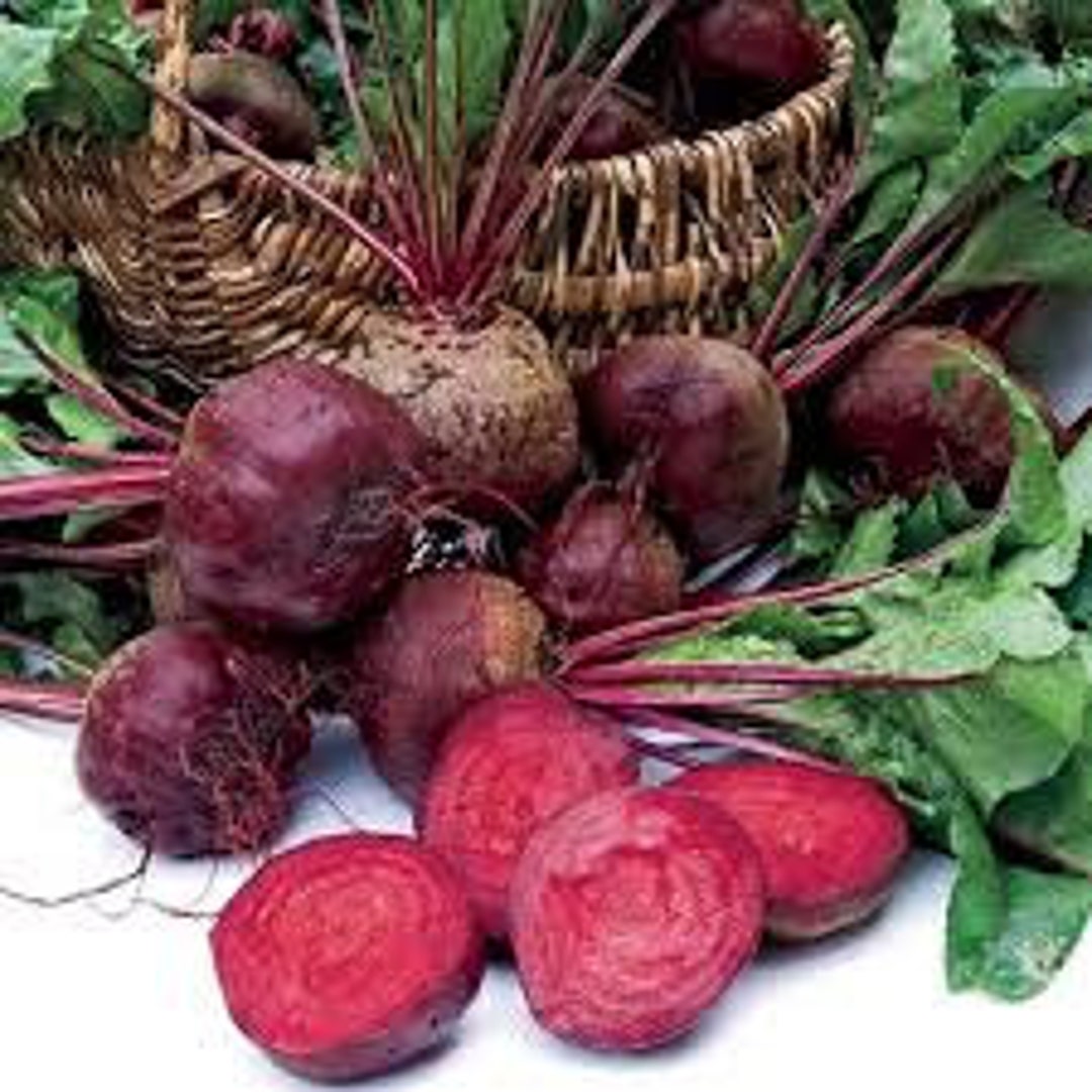 Detroit Dark Red Beet Seeds, Organic Seeds, Vegetable, Beet Seeds ...