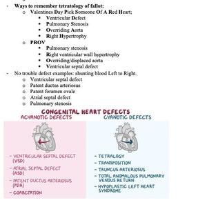 MARK KLIMEK- Complete NCLEX Review With Passing Strategies- 43 Pages - Etsy
