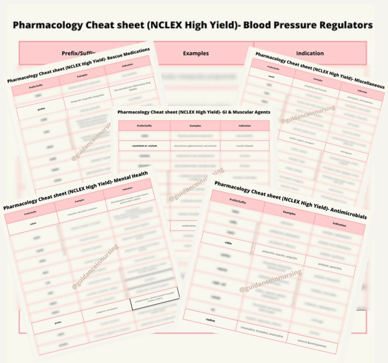 Comprehensive Pharmacology Medication Suffix Cheat Sheet - Etsy