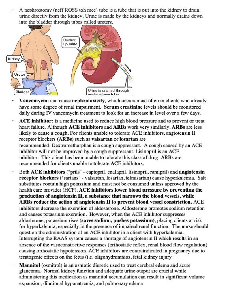 UWORLD- NCLEX REVIEW- Renal System - Etsy