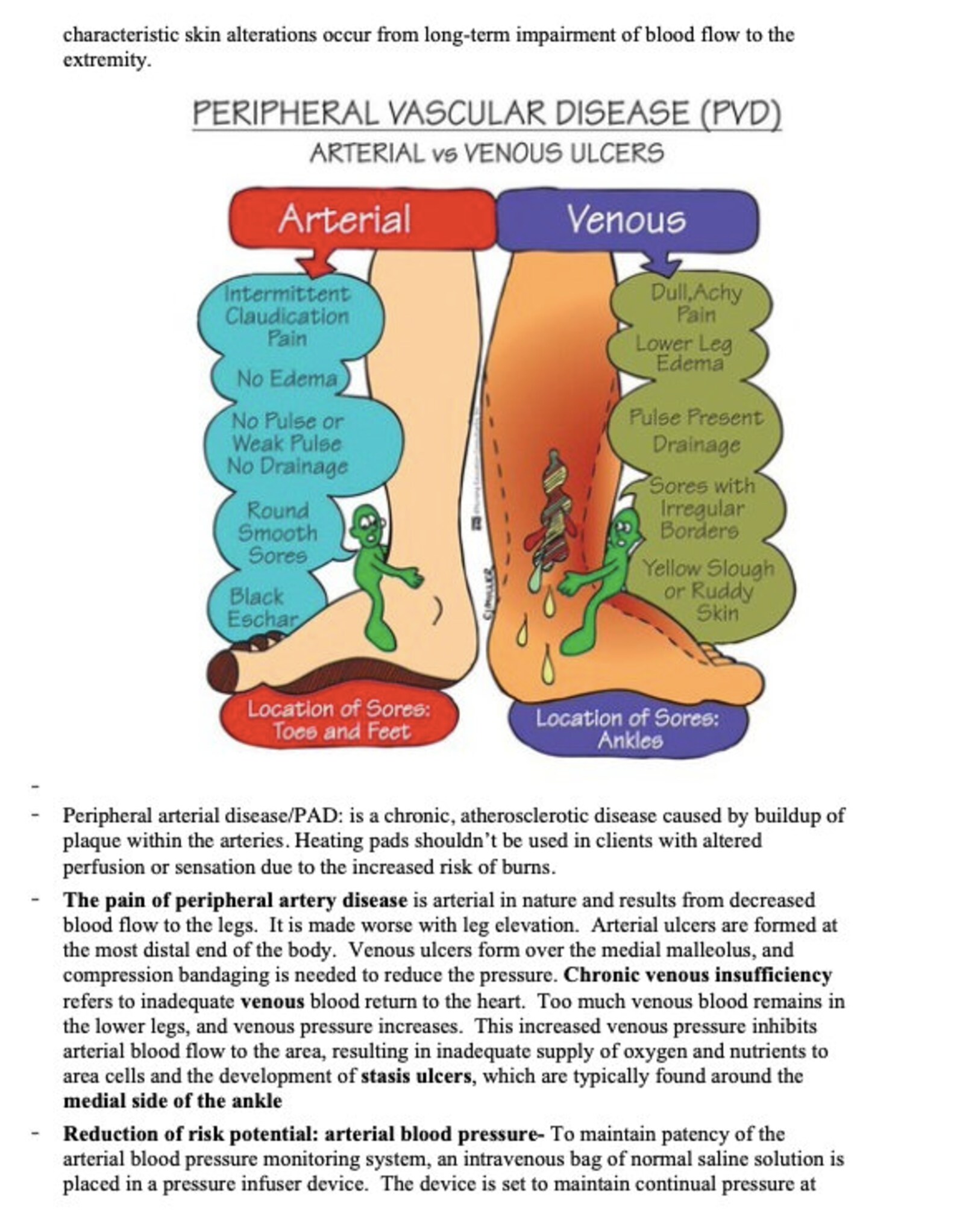 UWORLD- NCLEX REVIEW- Cardiac System- 36 Pages - Etsy