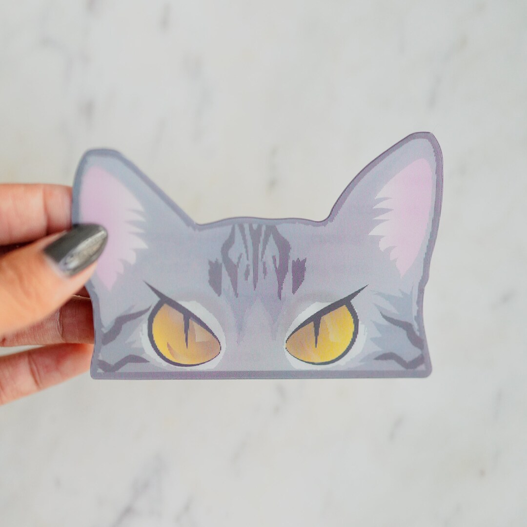 Grey Tabby Cat Peeker Vinyl Sticker 3D Motion/animated | Cats Stickers ...