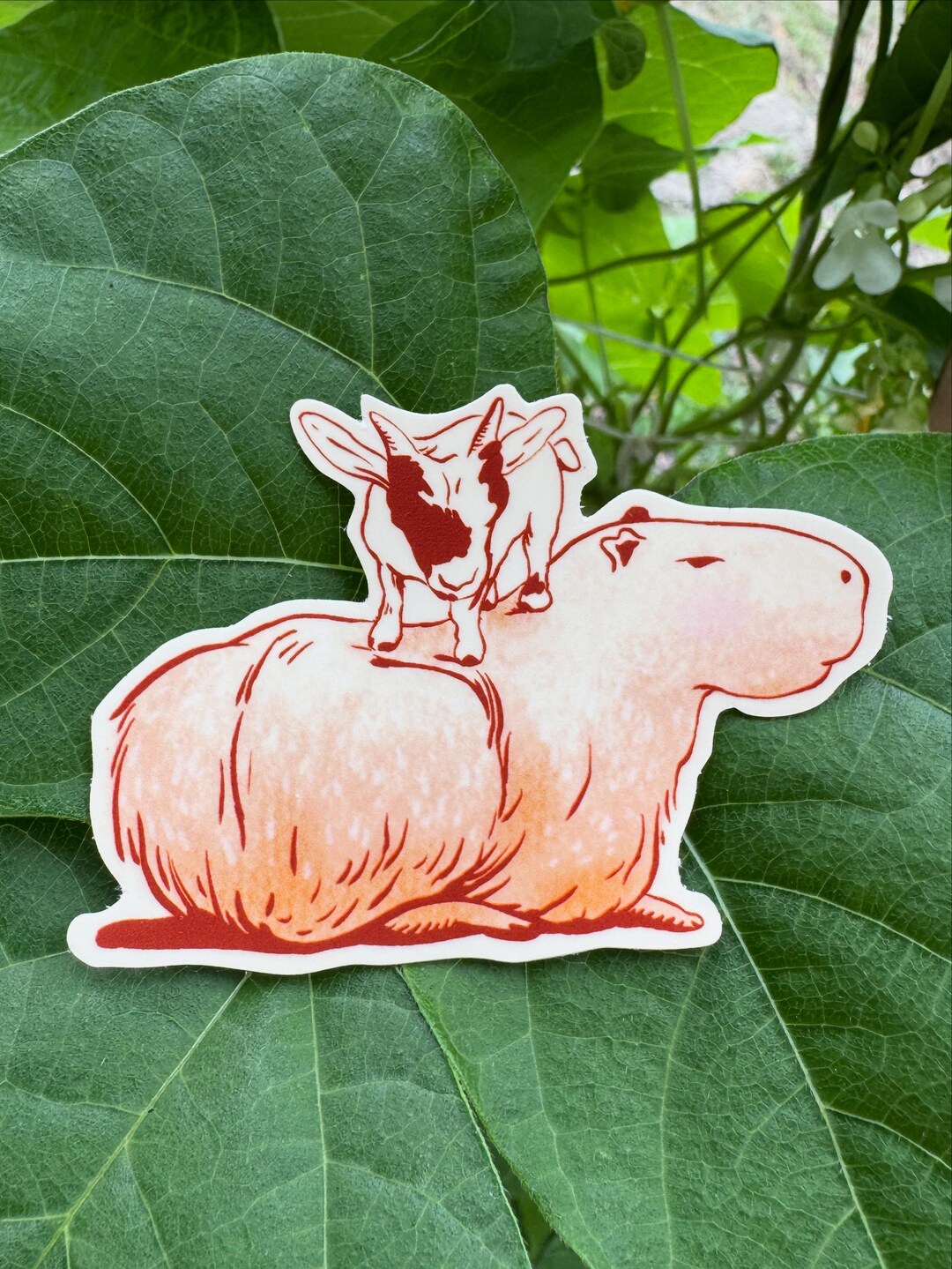 Capybara Baby Goat Vinyl Sticker Best Friends Forever Sticker - Etsy