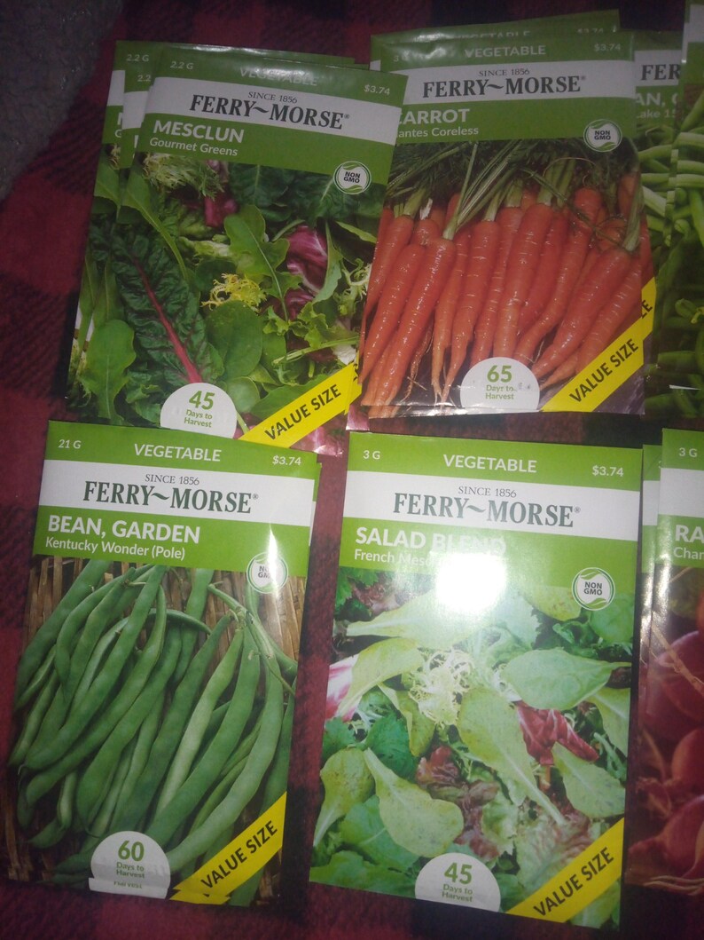 Vegetable Seeds Extra Large Value Pack, Garden Heirloom Starter - Etsy