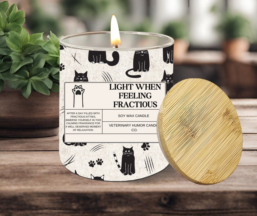 Veterinary Cat Humor Candle-feeling Fractious, Crazy Cat Lady, Cat ...