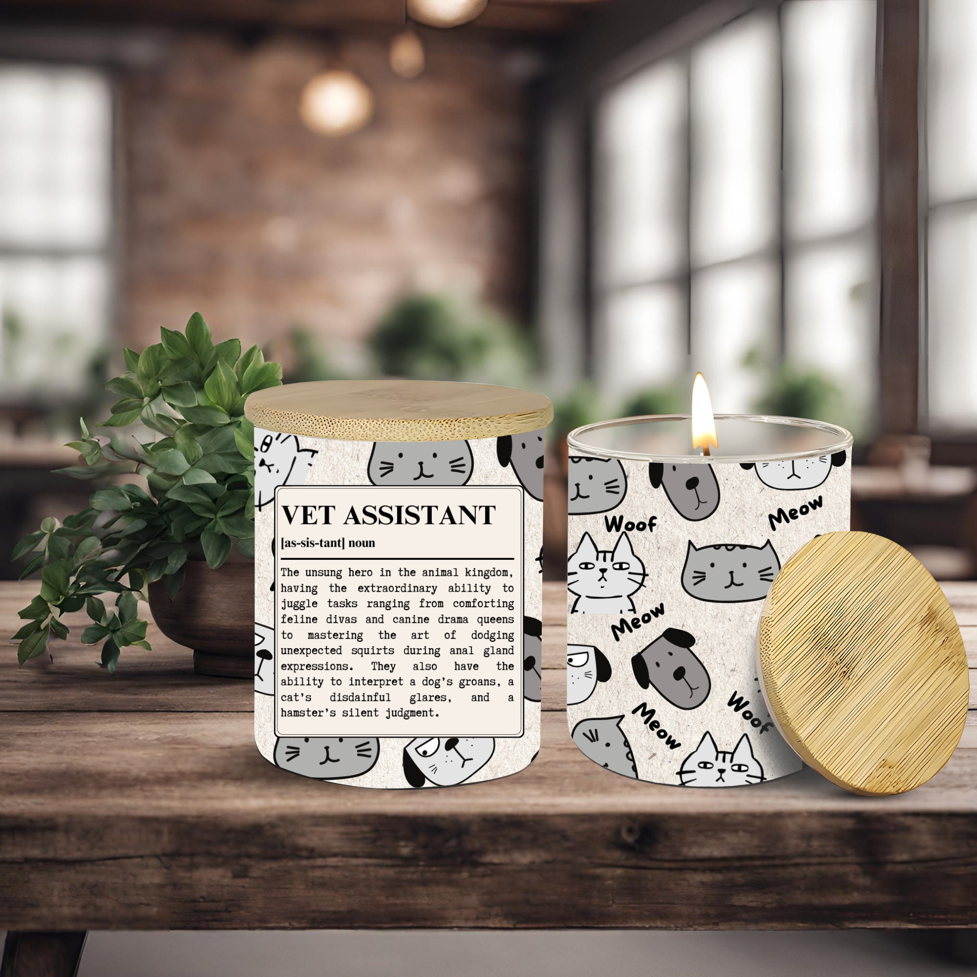 Veterinary Humor Candle, Vet Assistant Definition, Funny Vet Candle ...