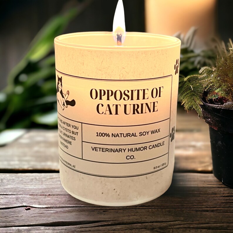 Opposite of Cat Urine Veterinary Candle, Veterinarian Gifts, Vet Tech ...