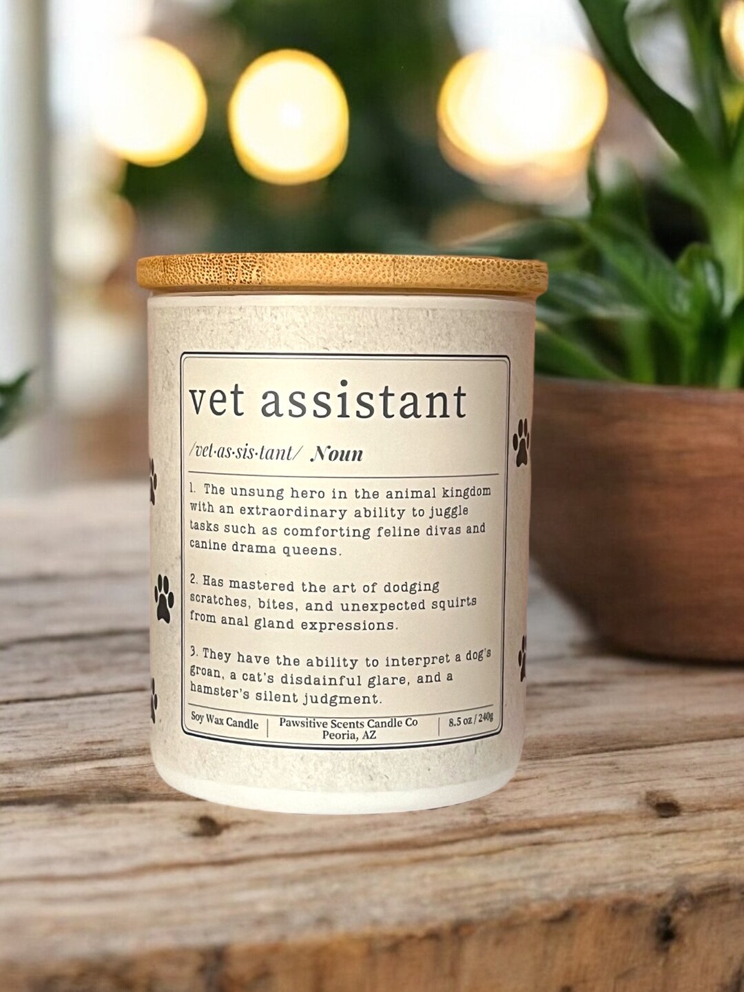 Veterinary Humor Candle, Vet Assistant Definition, Funny Vet Candle ...