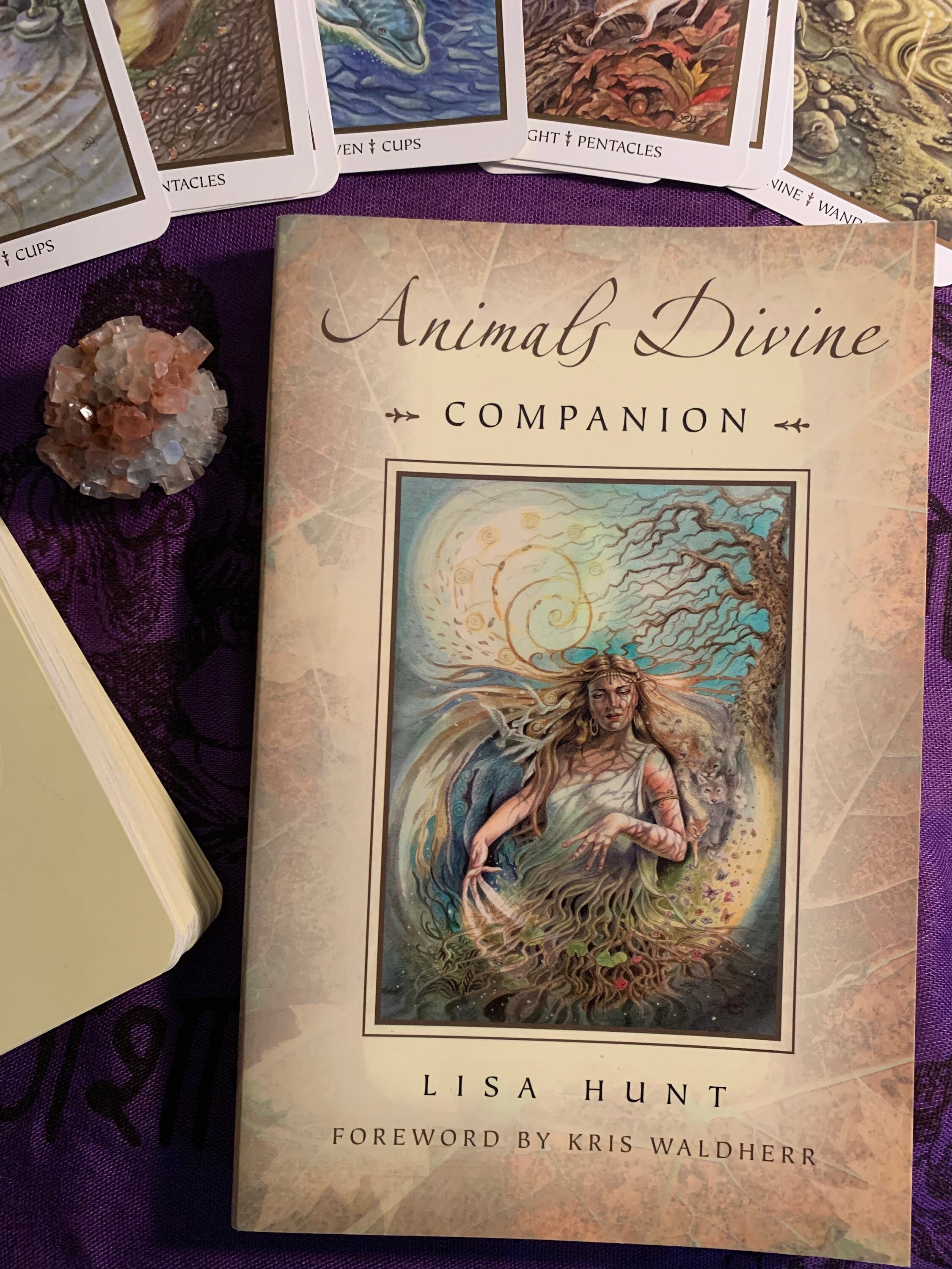 Animals Divine Tarot
