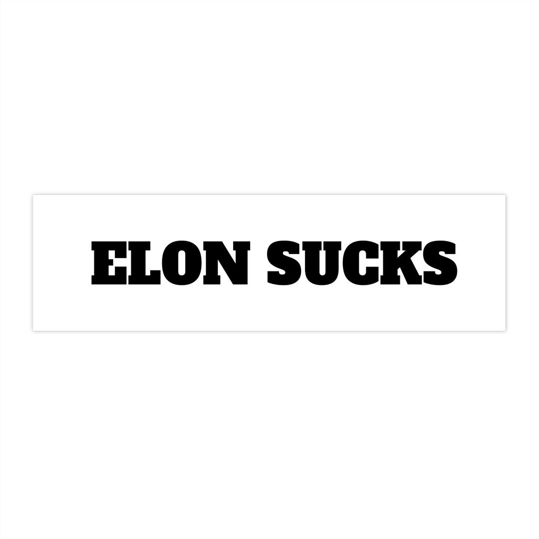 Elon Musk Funny Bumper Sticker, Car Decal, Tesla Owner Gift, Space ...