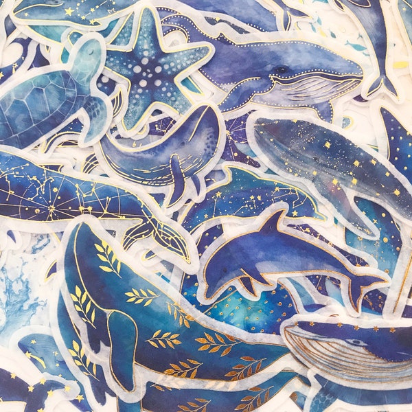 Whale Sticker - Etsy