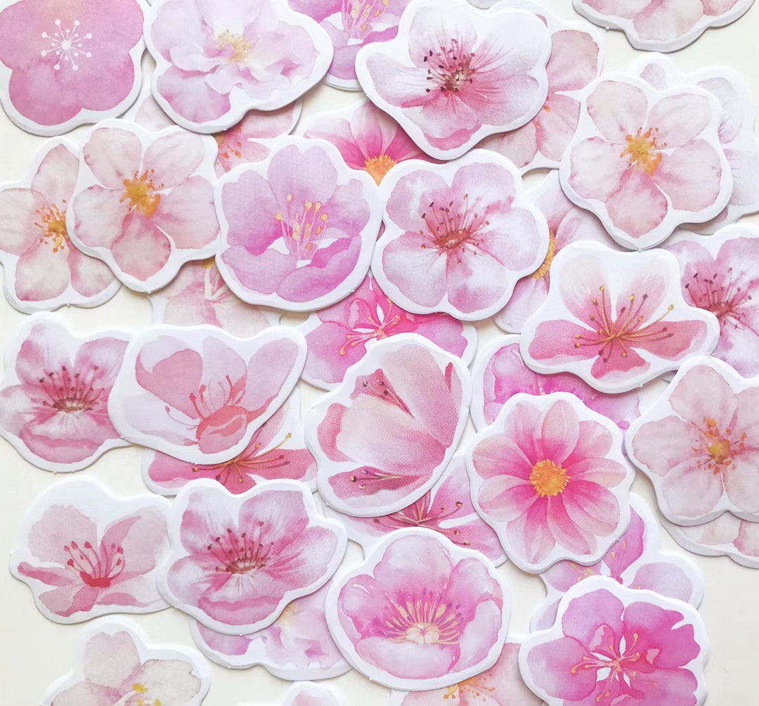 46pcs Vintage Pressed Cherry Blossom Flower Sticker Sakura - Etsy