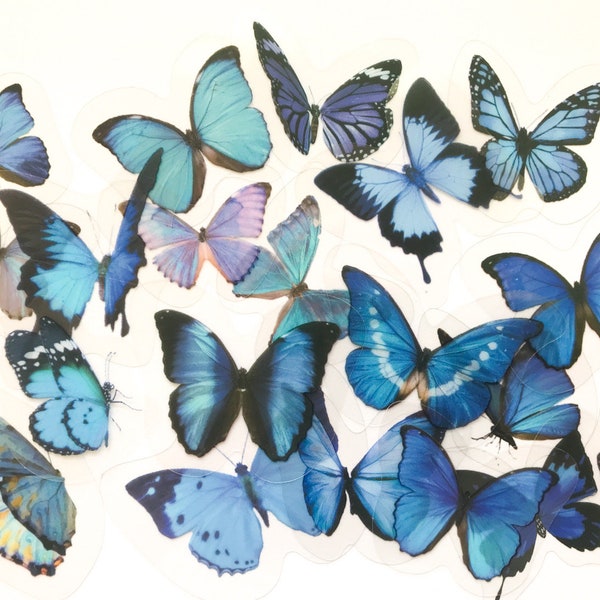 Blue Butterfly Stickers - Etsy