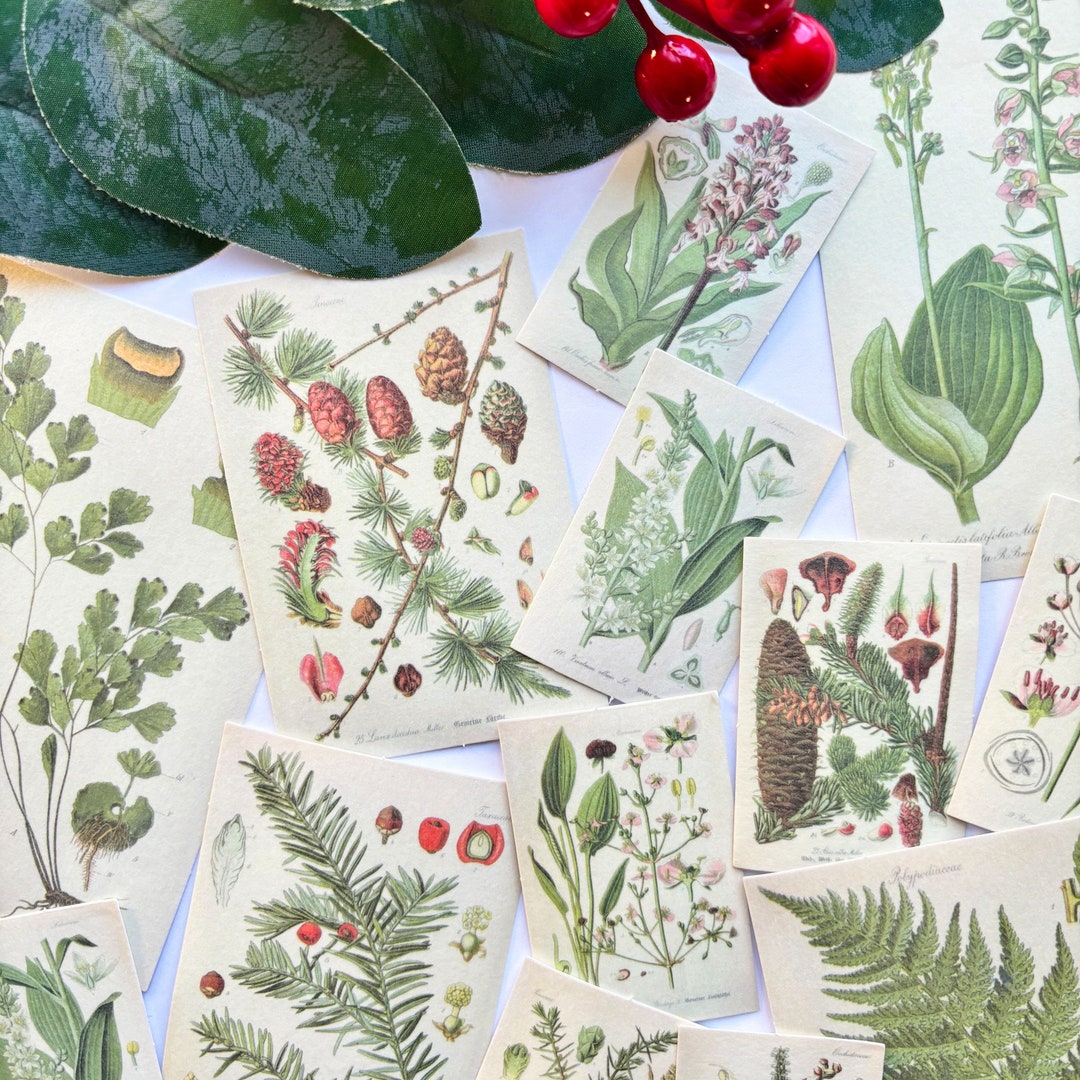 60pcs Botanical Stickers, Green Leaf Bullet Journal Stickers, Botanical ...