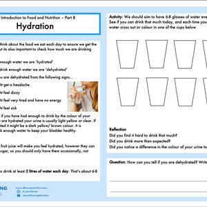 An Introduction to Nutrition for Kids - Etsy