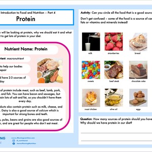 An Introduction to Nutrition for Kids - Etsy