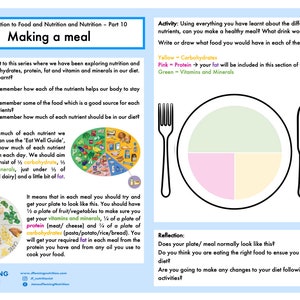 An Introduction to Nutrition for Kids - Etsy