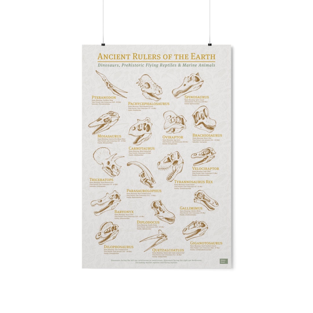 Dinosaur and Prehistoric Life Skulls Botanical Art Poster: - Etsy
