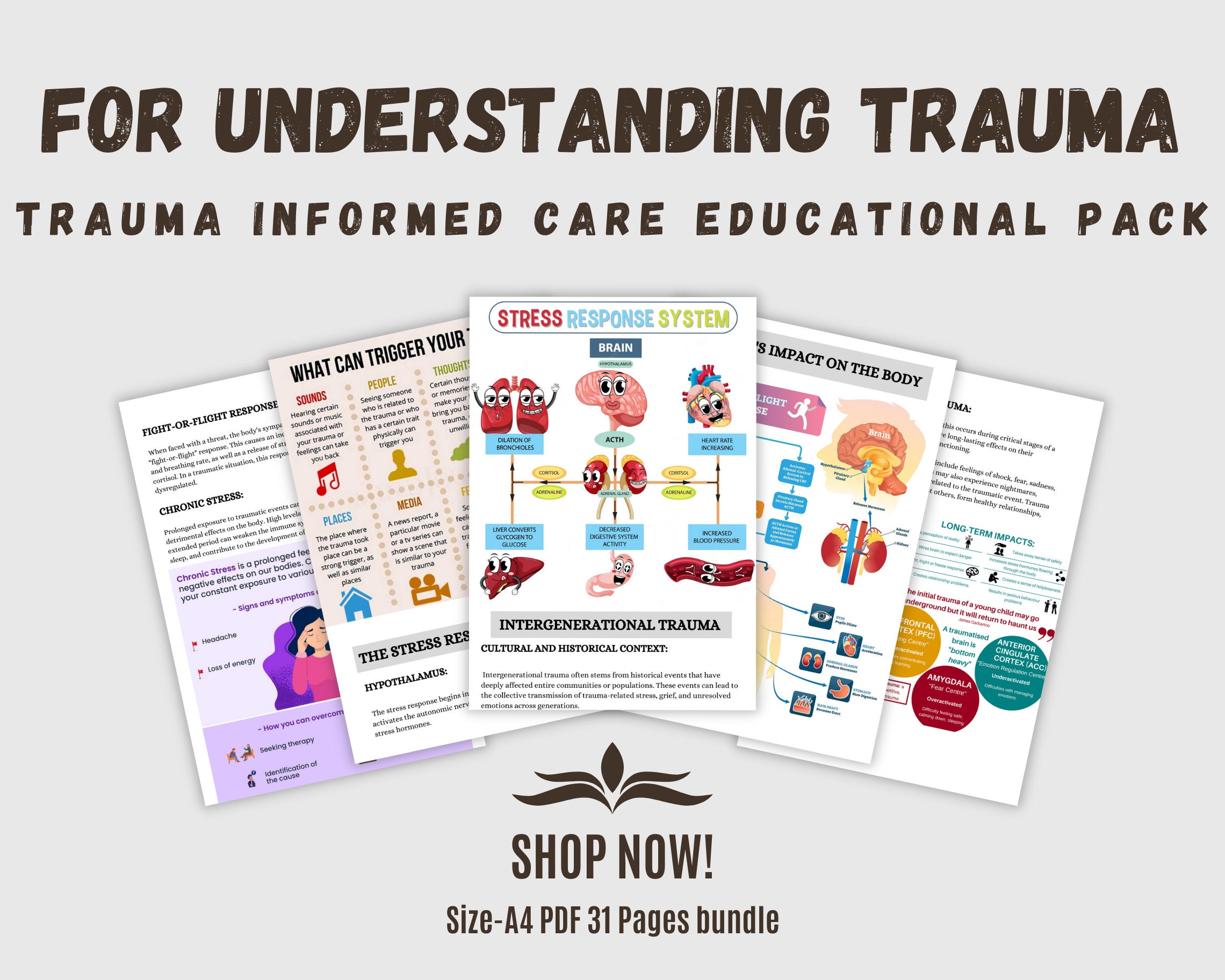 Trauma and Trauma Informed Care Educational Bundle - Etsy UK