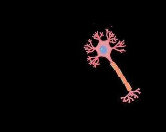 Brain Neuron Svg - Etsy