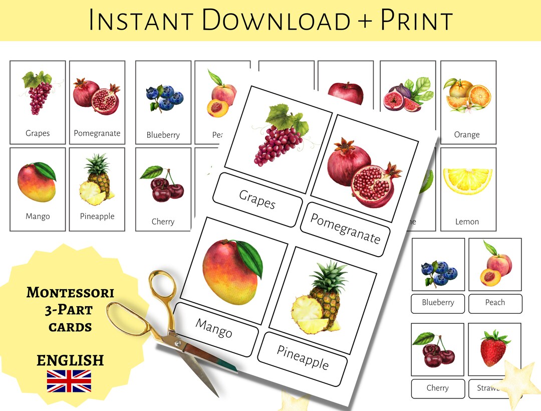 MONTESSORI CLASSIFIED CARDS Nomenclature 3-part Cards - Etsy