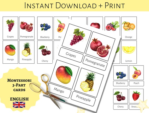 MONTESSORI CLASSIFIED CARDS Nomenclature 3-part Cards - Etsy