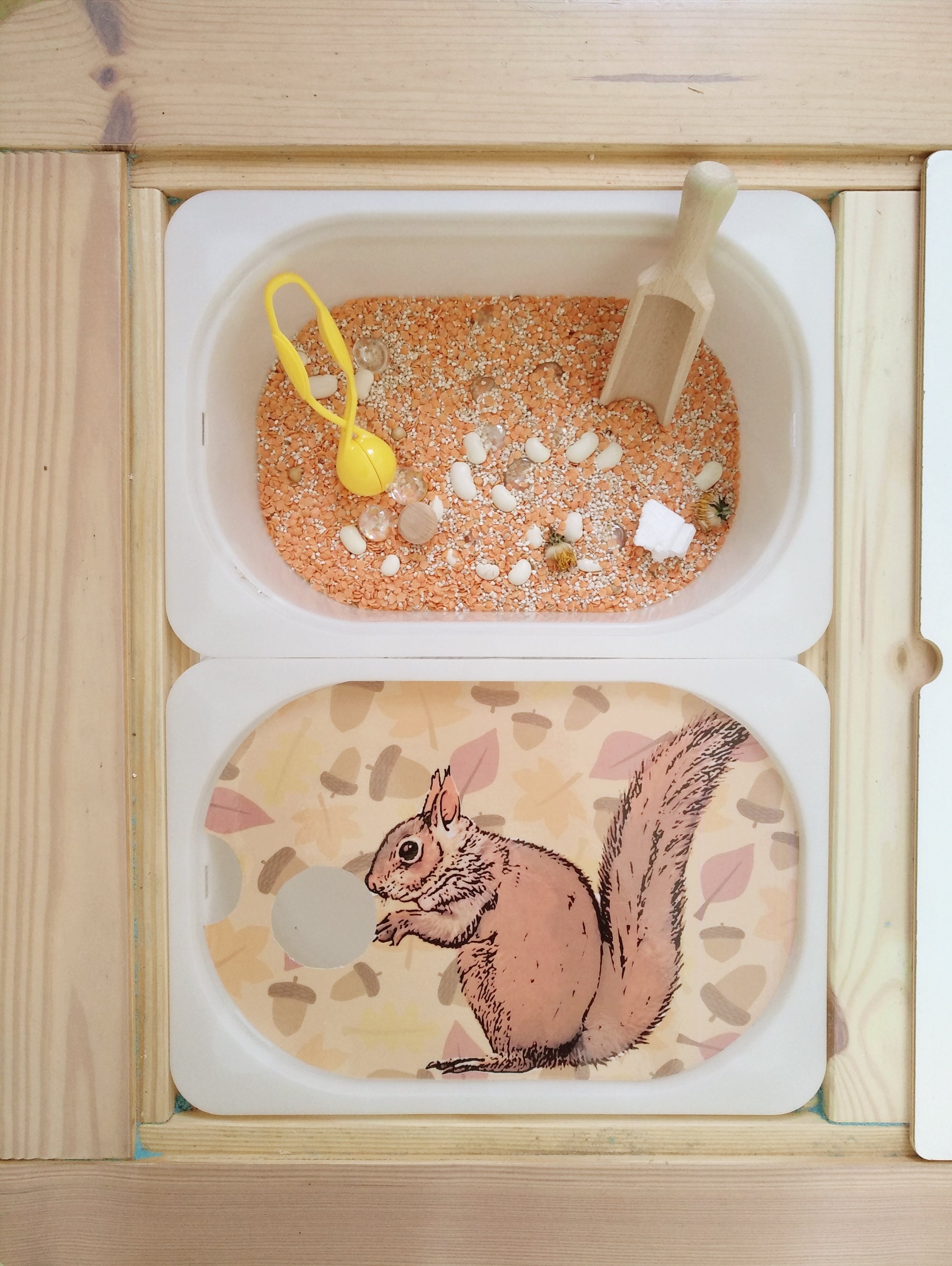 Squirrel Flisat Insert, PRINTABLE Toddler Activity, Animals Insert ...