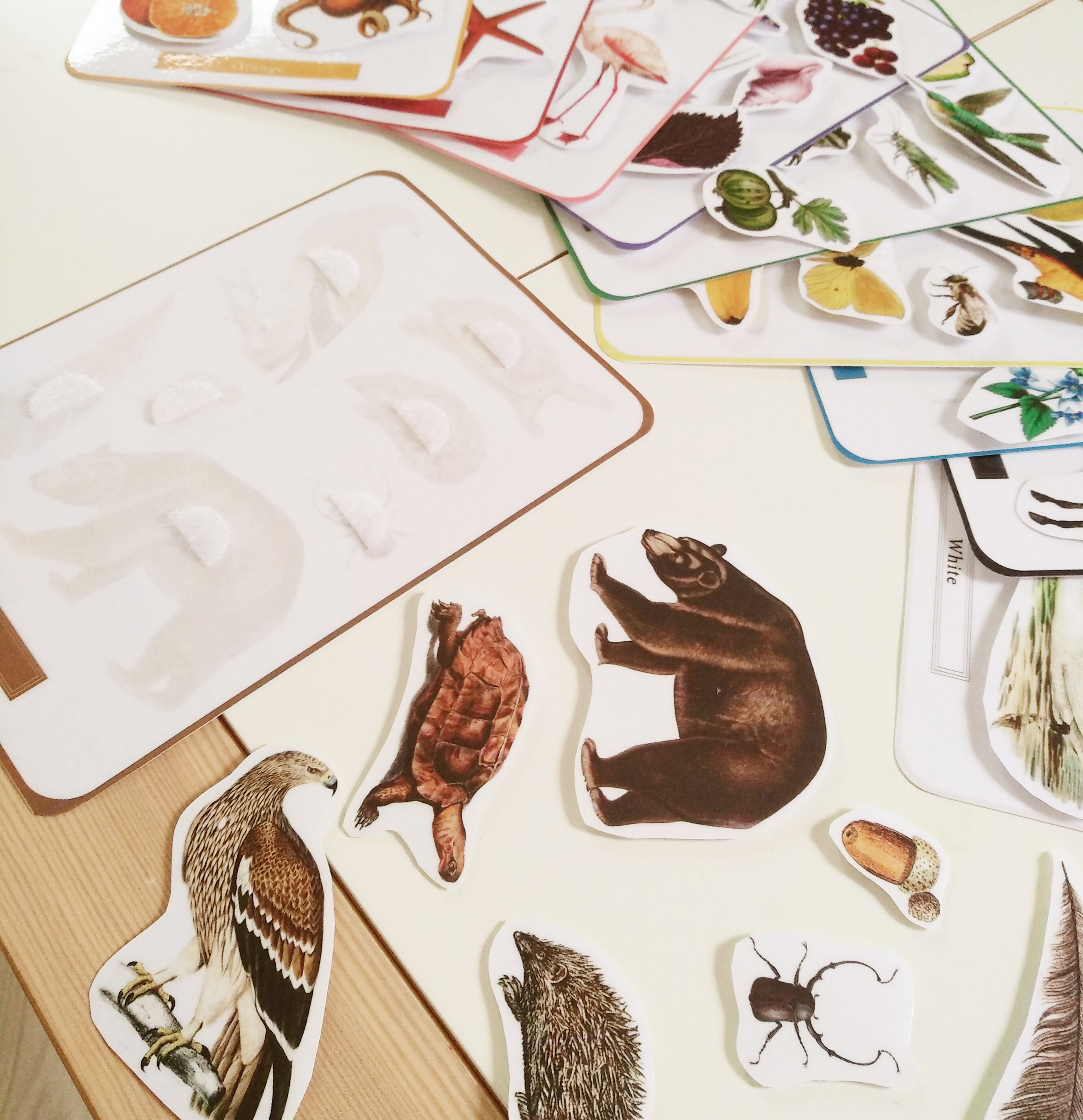 Colors Busy Book Color Matching Nature Quiet Book Color - Etsy