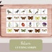 Butterfly Unit Study, Life Cycle of a Butterfly, Montessori Three-part ...