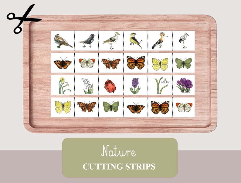 Spring Cutting Strips, Nature Printable Worksheet, Butterfly Scissors ...