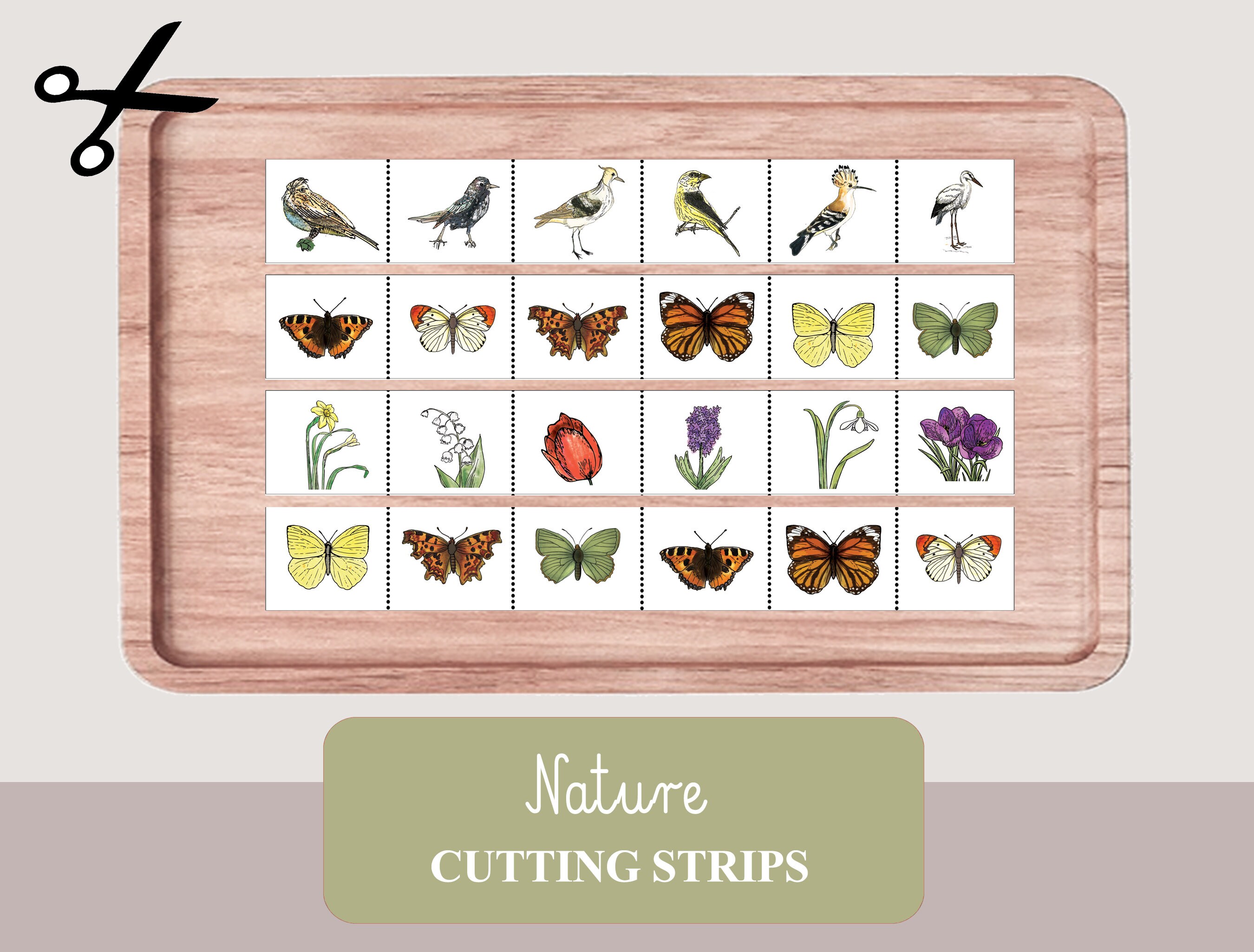 Spring Cutting Strips, Nature Printable Worksheet, Butterfly Scissors ...