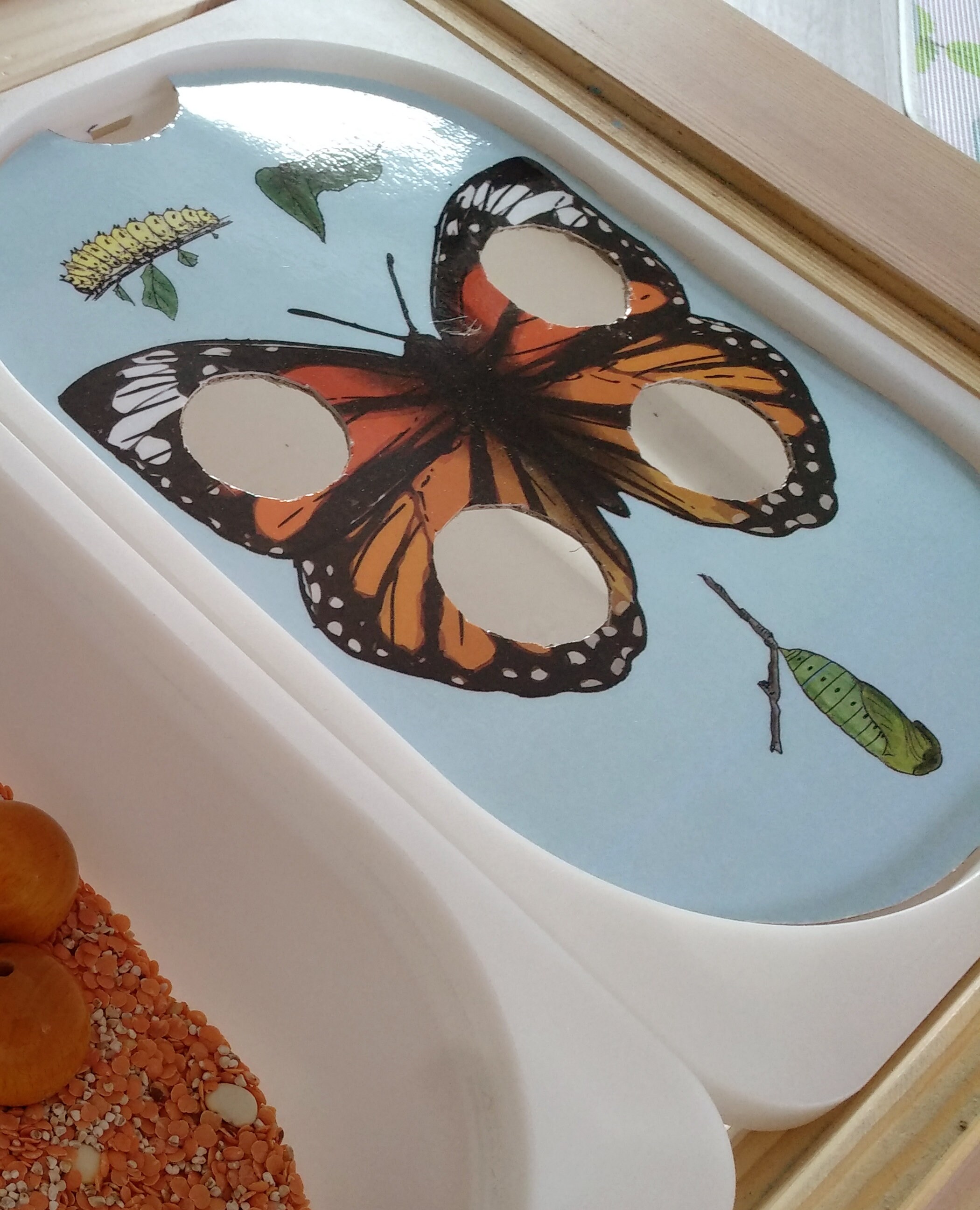 Butterfly Flisat Insert, PRINTABLE Toddler Activity, Minibeast Insert ...