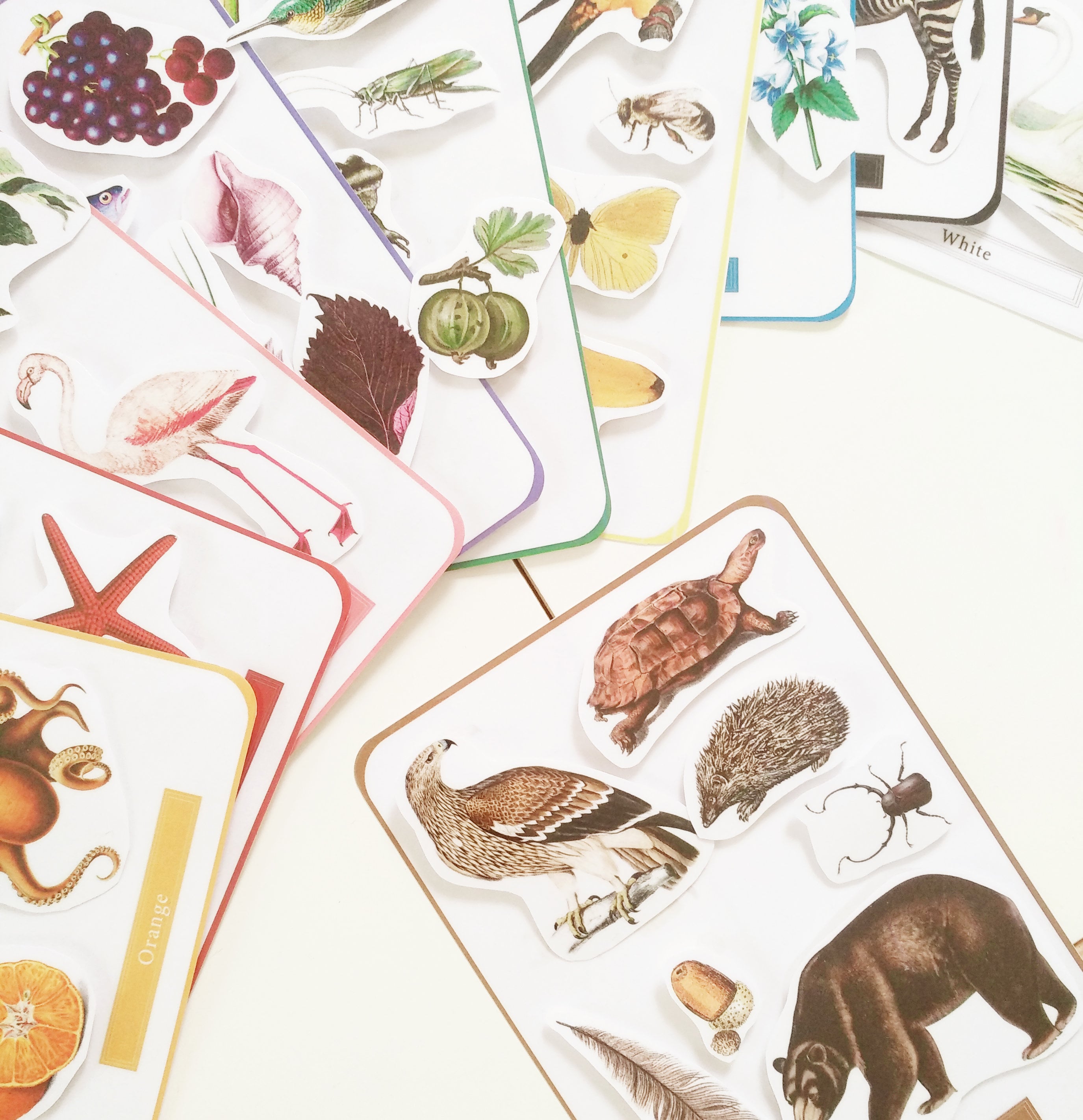 Colors Busy Book Color Matching Nature Quiet Book Color - Etsy