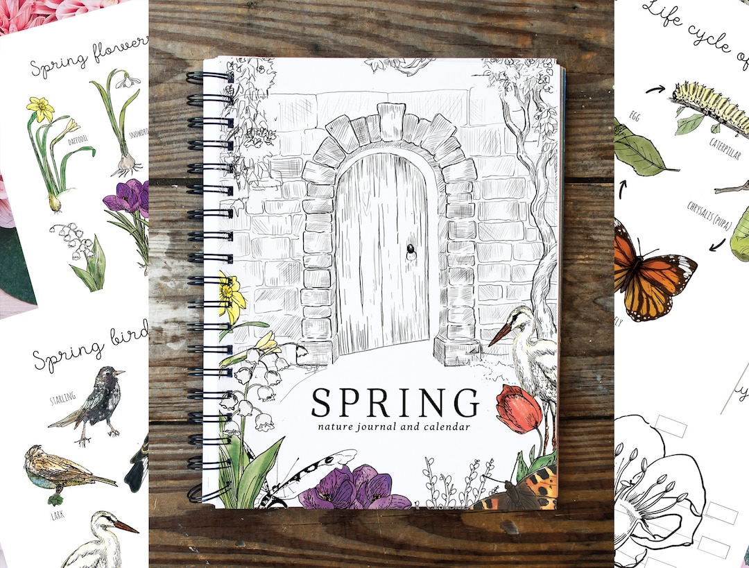 Spring Nature Journal, Butterfly Nature Study, Flowers Unit, Chicken ...