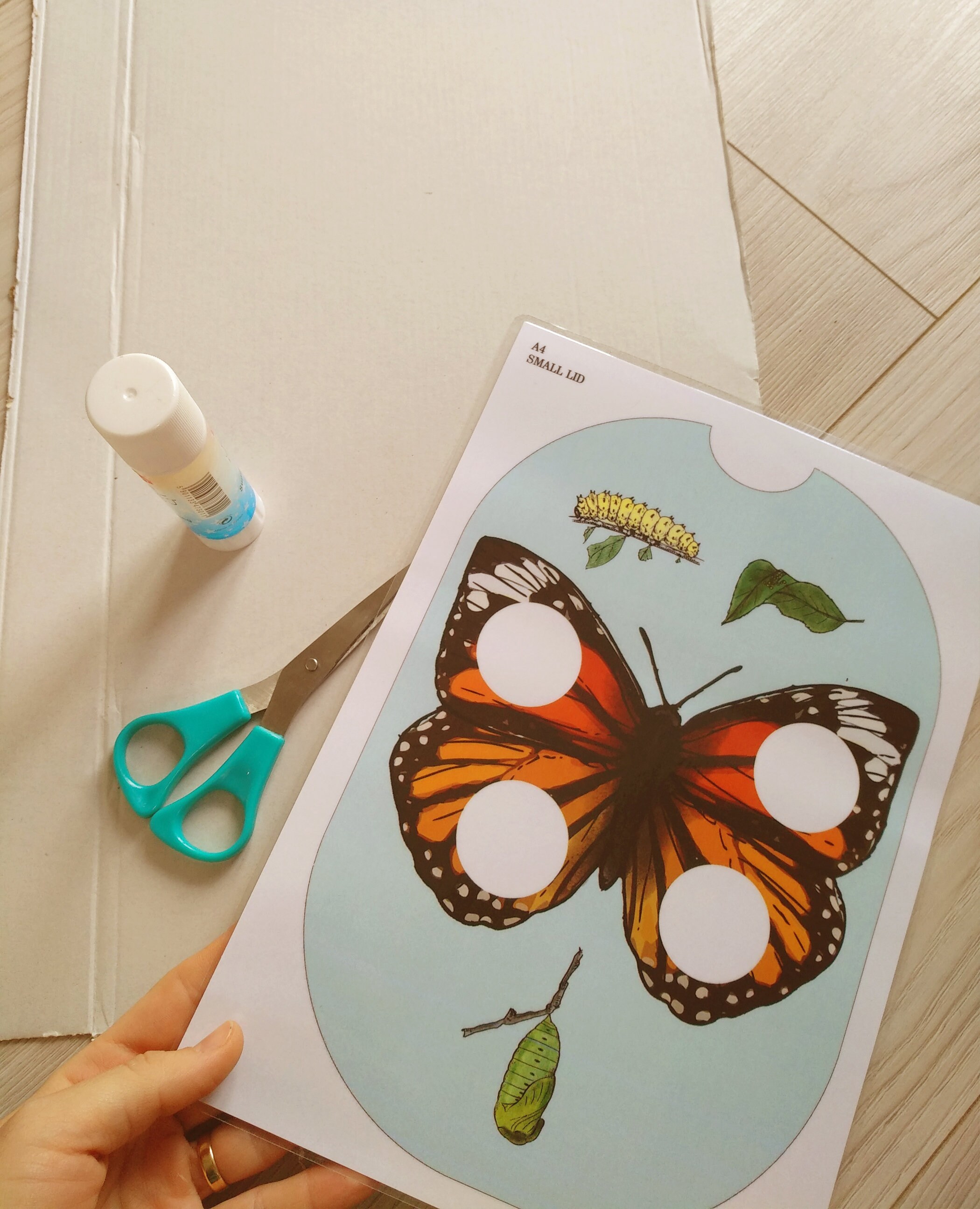 Butterfly Flisat Insert, PRINTABLE Toddler Activity, Minibeast Insert ...
