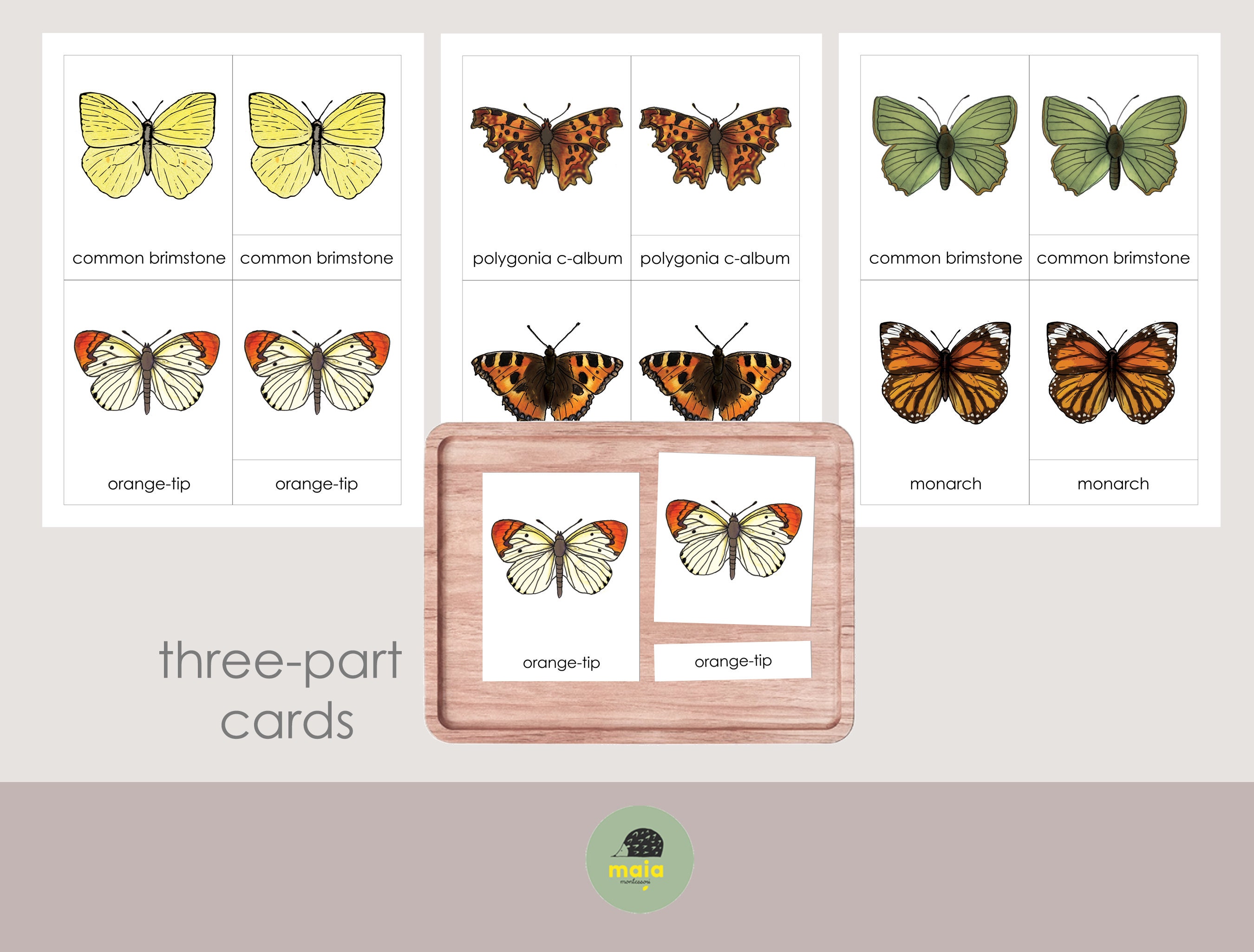 Butterfly Unit Study, Life Cycle of a Butterfly, Montessori Three-part ...