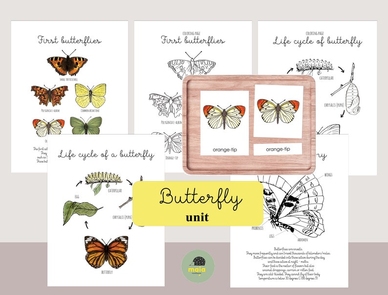 Butterfly Unit Study, Life Cycle of a Butterfly, Montessori Three-part ...