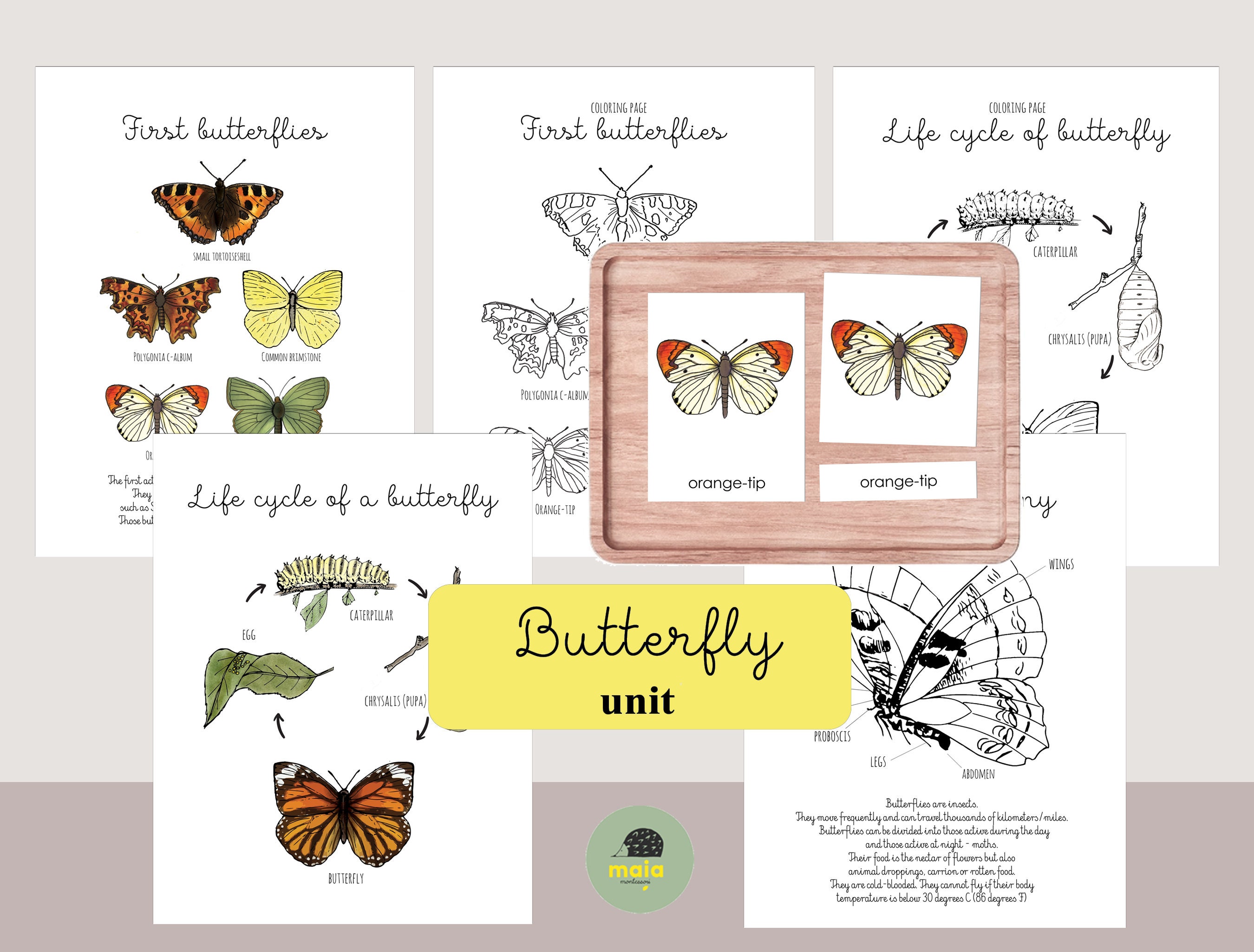 Butterfly Unit Study, Life Cycle of a Butterfly, Montessori Three-part ...